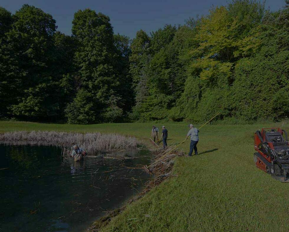 Full-Service Pond & Lake Management Services | Effingham, Marion County ...